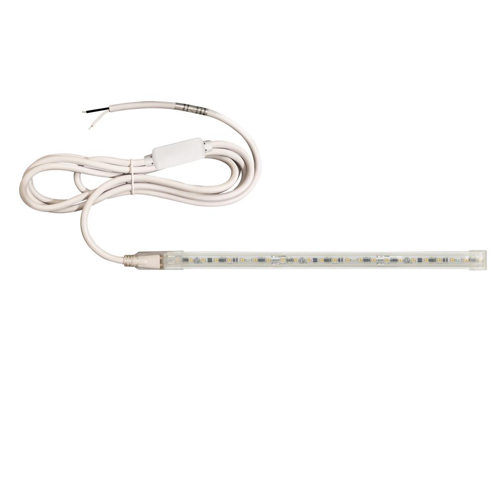 Custom Cut 2-ft, 4-in 120V Continuous LED Tape Light, 330lm / 3.6W per ...